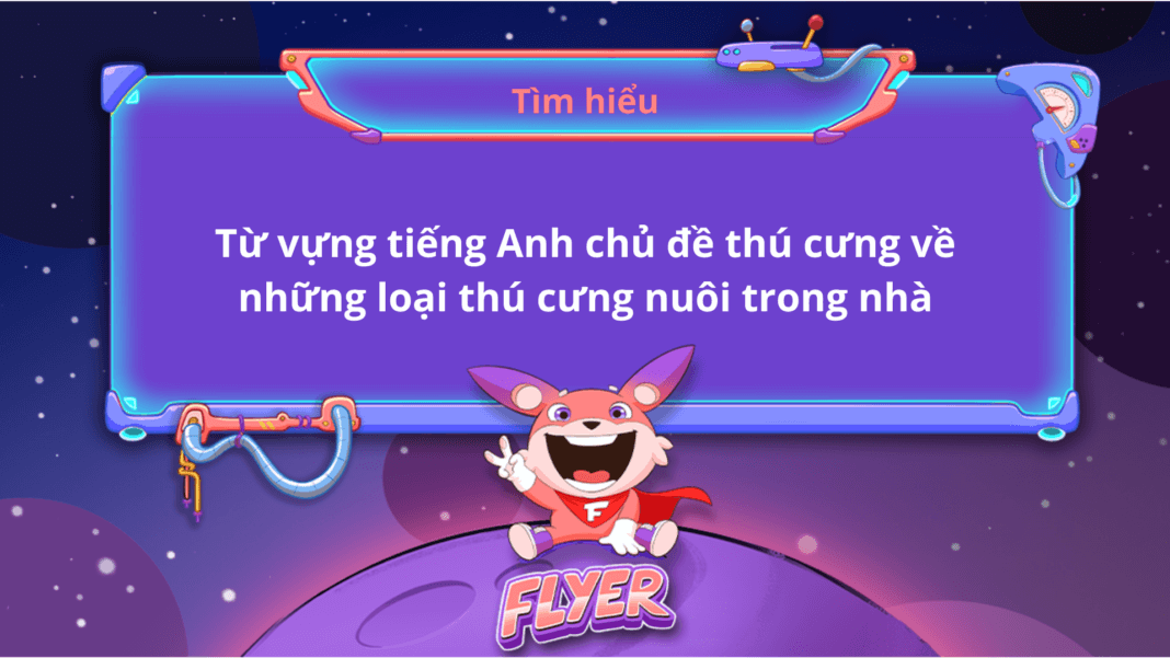 Hack vốn từ vựng tiếng Anh chủ đề thú cưng chỉ trong 5 phút