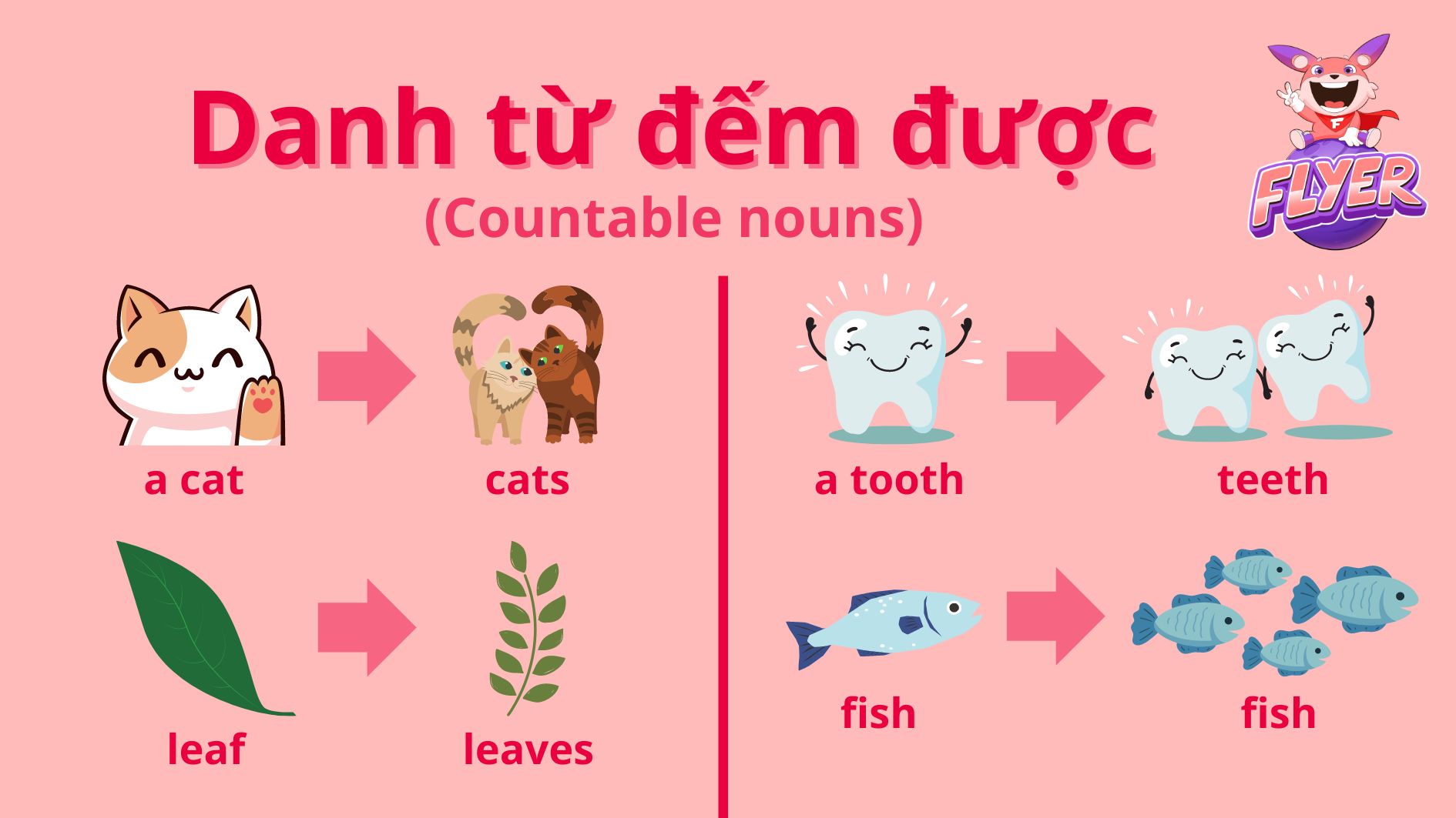 Danh từ đếm được và không đếm được trong tiếng Anh + BÀI TẬP