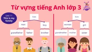 Tổng hợp từ vựng tiếng Anh lớp 3 chi tiết nhất [+ bài tập, đáp án]
