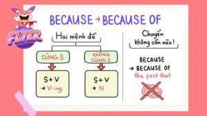 Because of là gì? Phân biệt “because of”, “because” và “so”