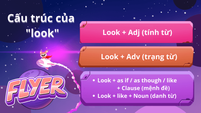 "Look" đi với giới từ gì? Cách dùng & cấu trúc chi tiết của "Look"