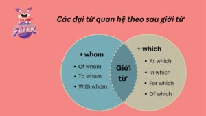 In which là gì? 3 trường hợp dùng “in which” cơ bản nhất