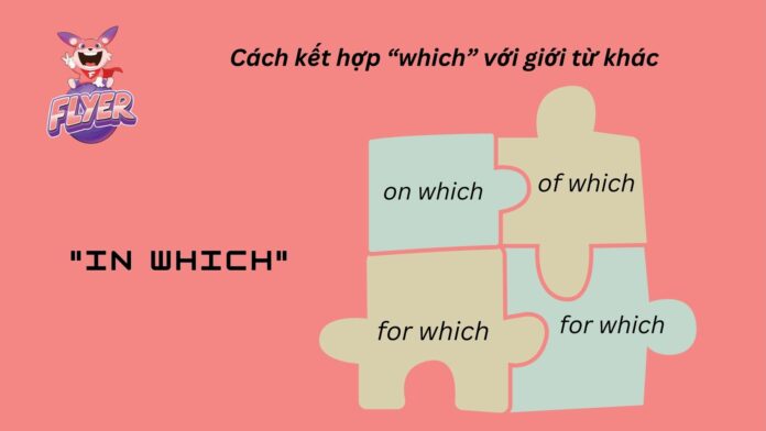 In which là gì? 3 trường hợp dùng “in which” cơ bản nhất