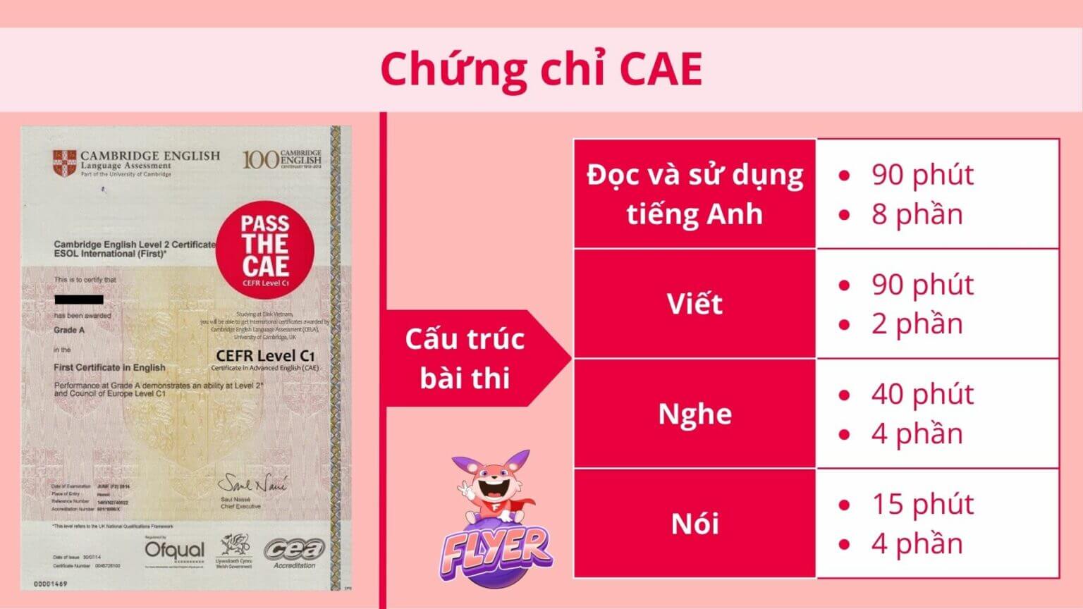 CAE là gì? Những thông tin mới nhất về chứng chỉ CAE năm 2023