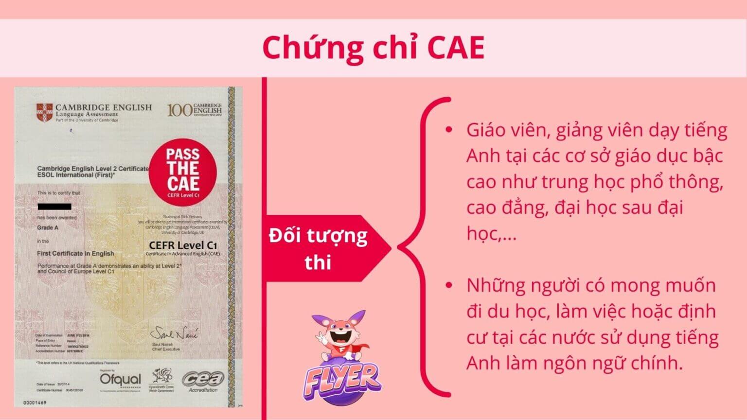 CAE là gì? Những thông tin mới nhất về chứng chỉ CAE năm 2023