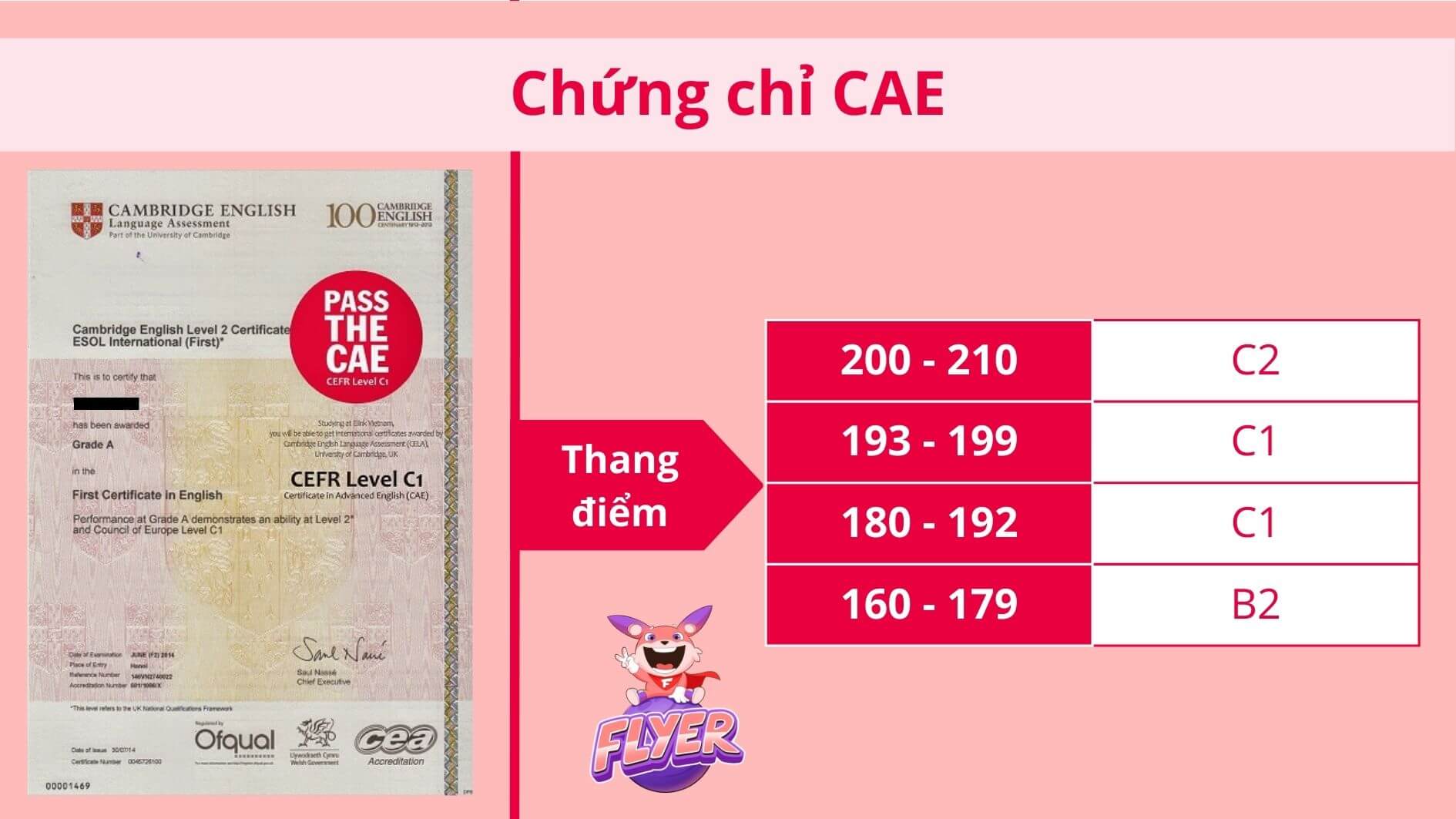 CAE là gì? Những thông tin mới nhất về chứng chỉ CAE năm 2023