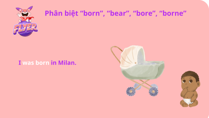 Phân biệt “Born”, “Bear”, “Bore”, “Borne” – các động từ gần nghĩa – chỉ ...