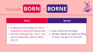 Quá khứ của "bear" là gì? Phân biệt "born" với "borne"