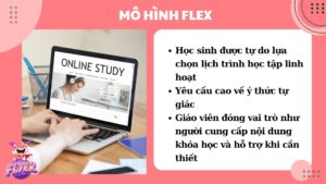 Blended Learning là gì? 7 mô hình Học tập kết hợp phổ biến nhất