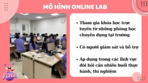 Blended Learning là gì? 7 mô hình Học tập kết hợp phổ biến nhất