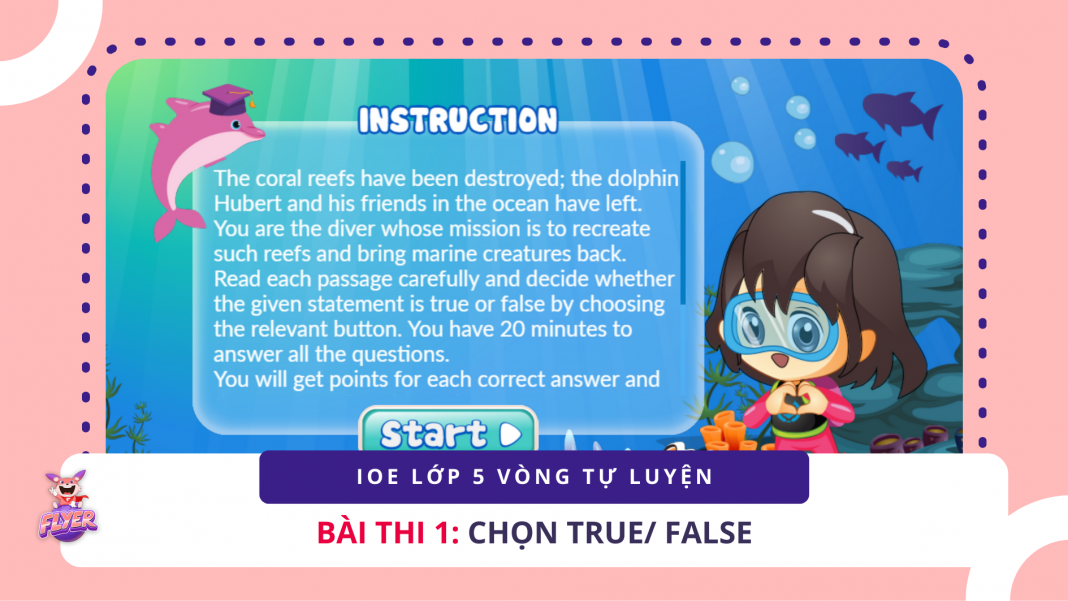 Hướng dẫn CHI TIẾT cách làm bài tự luyện IOE lớp 5